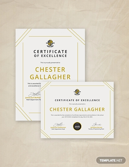 Excellence Certificate Template - 24+ Word, PDF, PSD Format Download