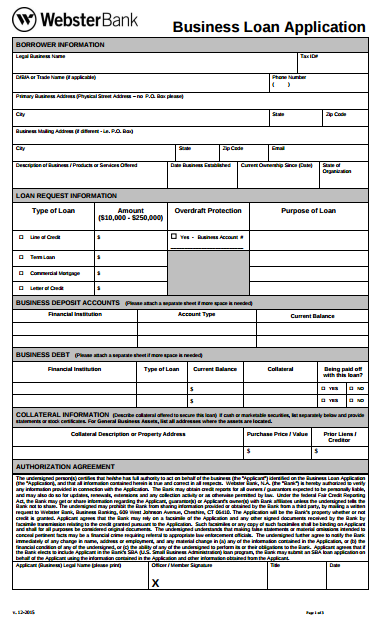 12 Business Loan Application Form Templates PDF