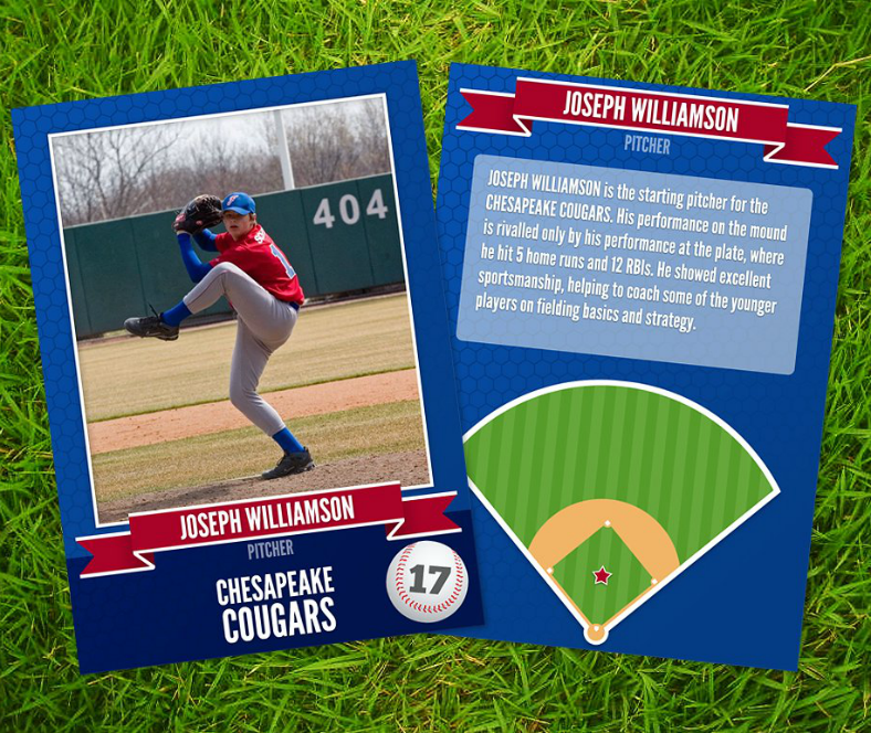 15 Baseball Trading Card Designs Templates PSD AI
