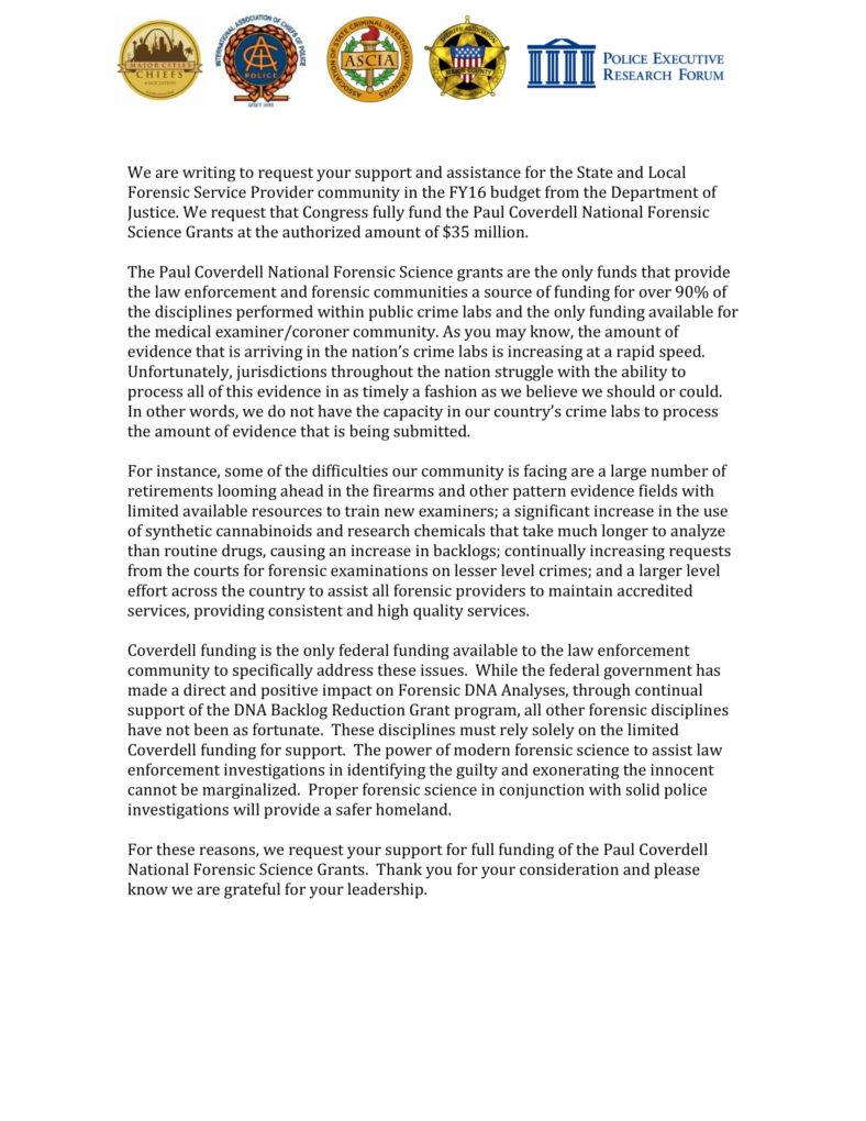 18+ Formal Request Letter Templates | Free & Premium Templates