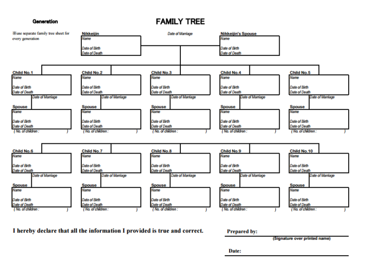 Chart Paper 10 Generations Tall 5 Metres Long Family Tree Working 