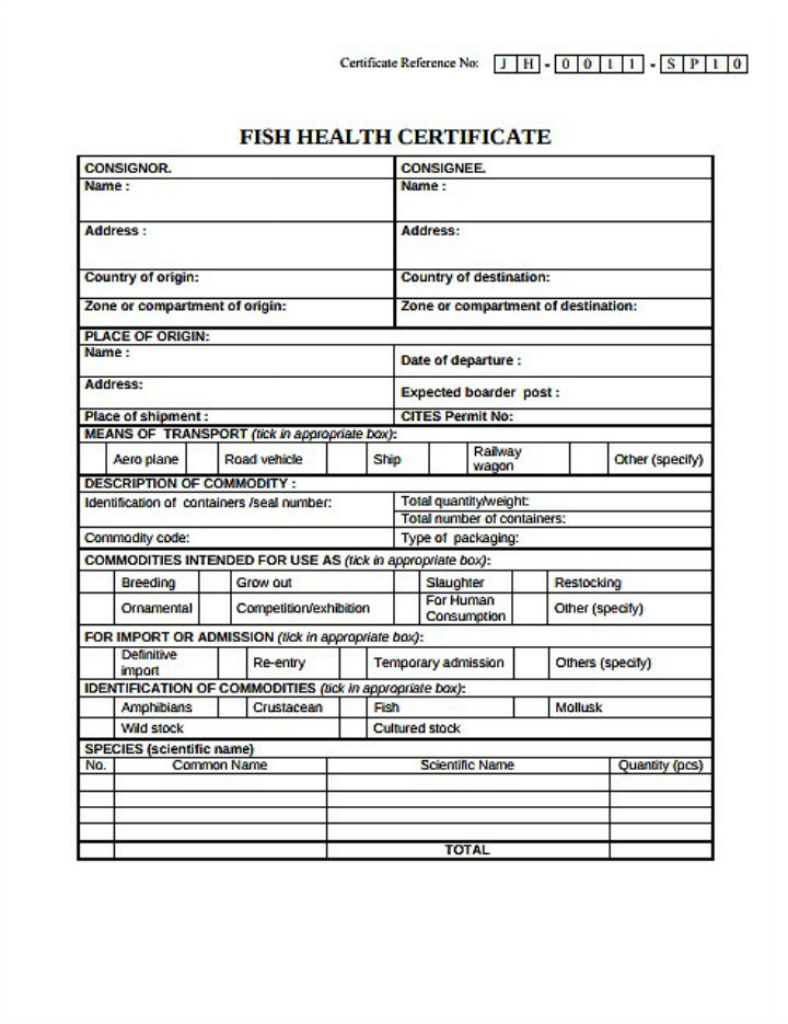 17+ Free Health Certificate Templates - PDF, Word