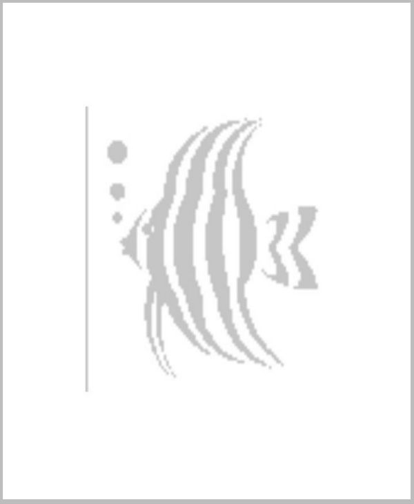 9+ Free Paper Cutting Templates - PDF