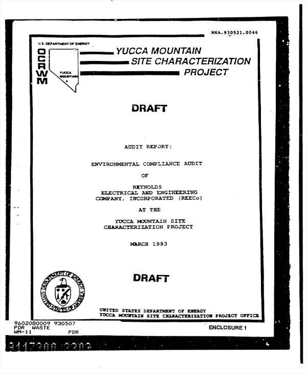 7+ Environmental Audit Report Templates - PDF, Word