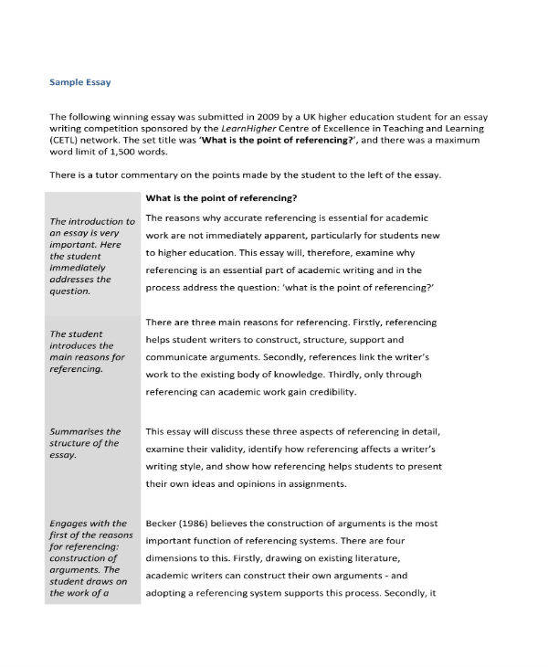 19+ Essay Templates in PDF