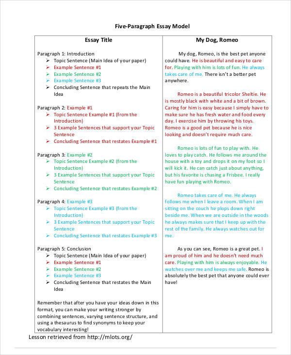 14+ 5 Paragraph Essay Templates - PDF