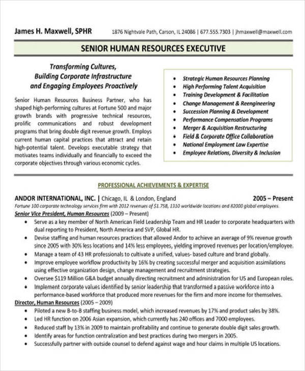 25+ CV Examples in PDF