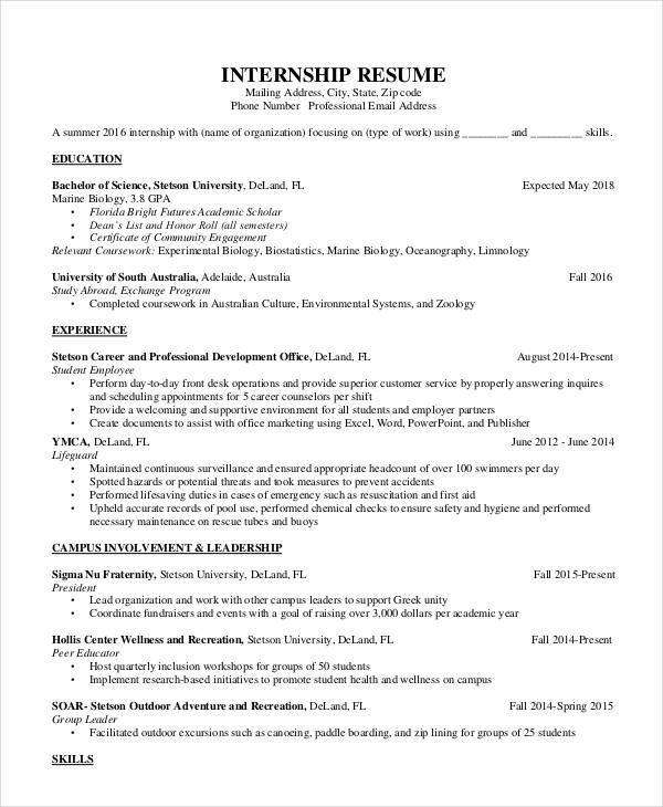 11 Sample CV s For Internship PDF