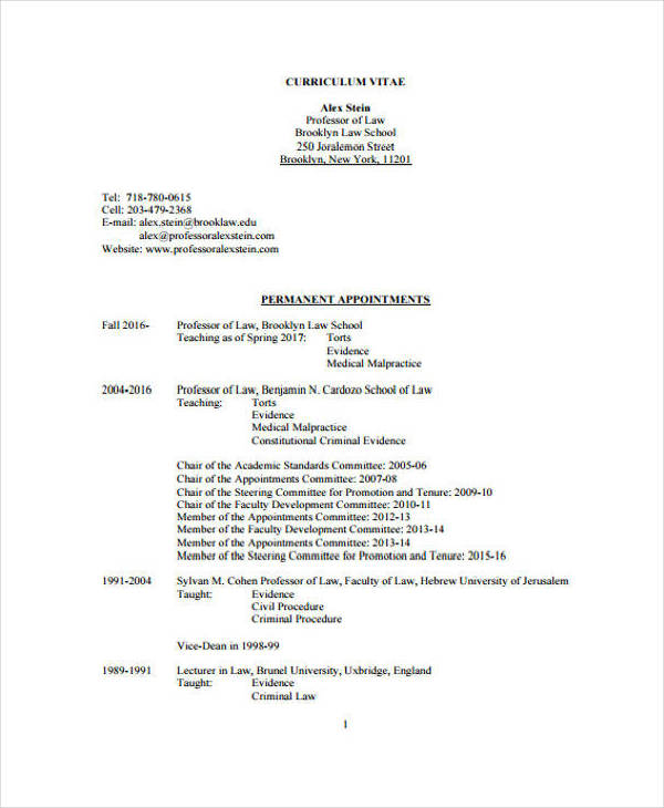 25+ CV Examples in PDF