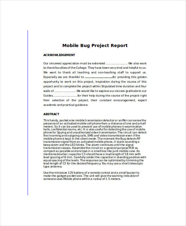 11+ Bug Report Templates - PDF, DOC, XLS