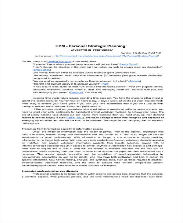 9+ Personal Strategic Plan Templates - PDF, Word