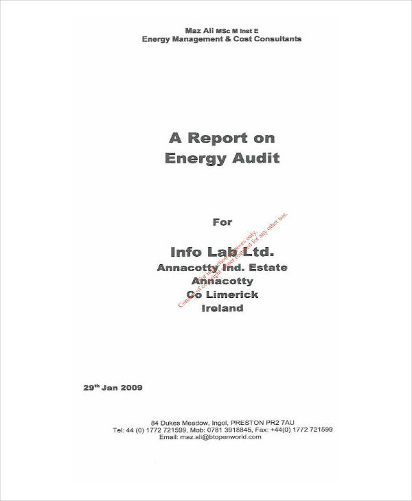 10+ Energy Audit Report Templates - PDF, Word, Google Docs