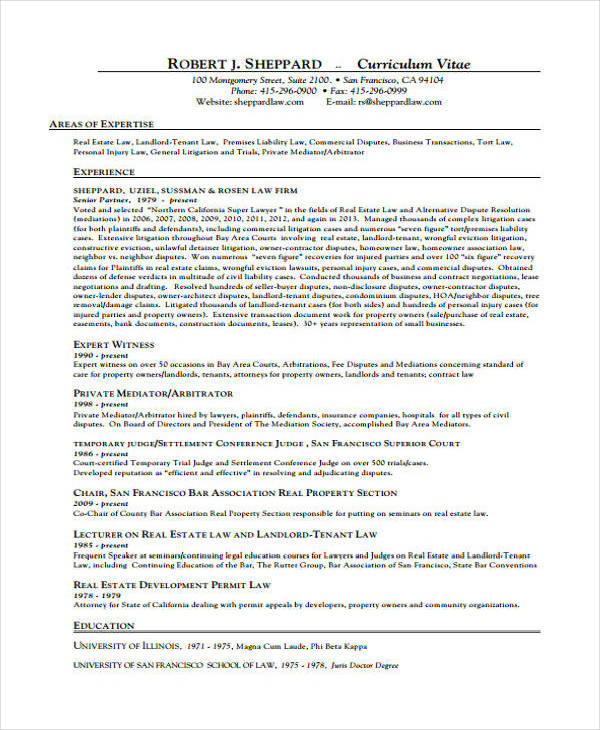 25+ CV Examples in PDF