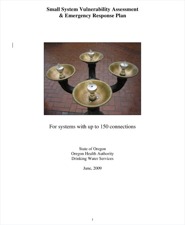 14+ Vulnerability Assessment Templates - PDF, DOC, Pages