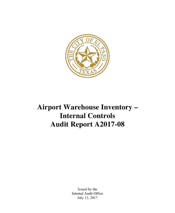 14+ Stock Audit Report Templates and Samples - PDF, Word