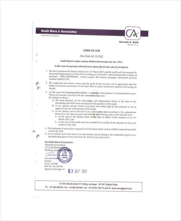 8+ Tax Audit Report Templates - PDF