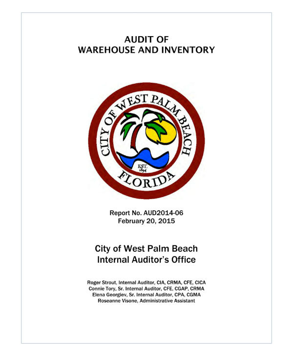 14+ Stock Audit Report Templates and Samples - PDF, Word