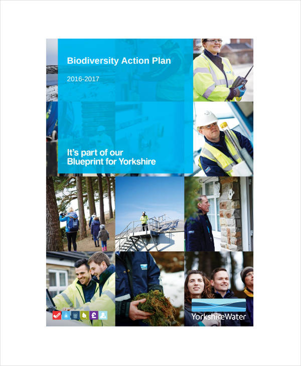 14+ Biodiversity Action Plan Templates - PDF, DOC