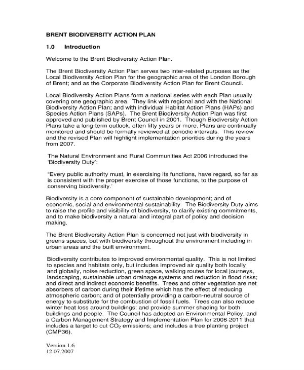 14+ Biodiversity Action Plan Templates - PDF, DOC