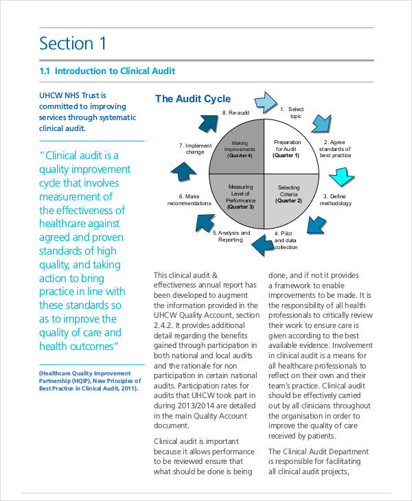 12 Clinical Audit Report Templates PDF DOC