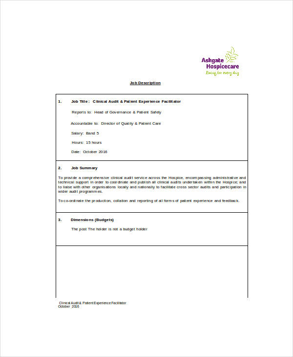 12+ Clinical Audit Report Templates - PDF, DOC