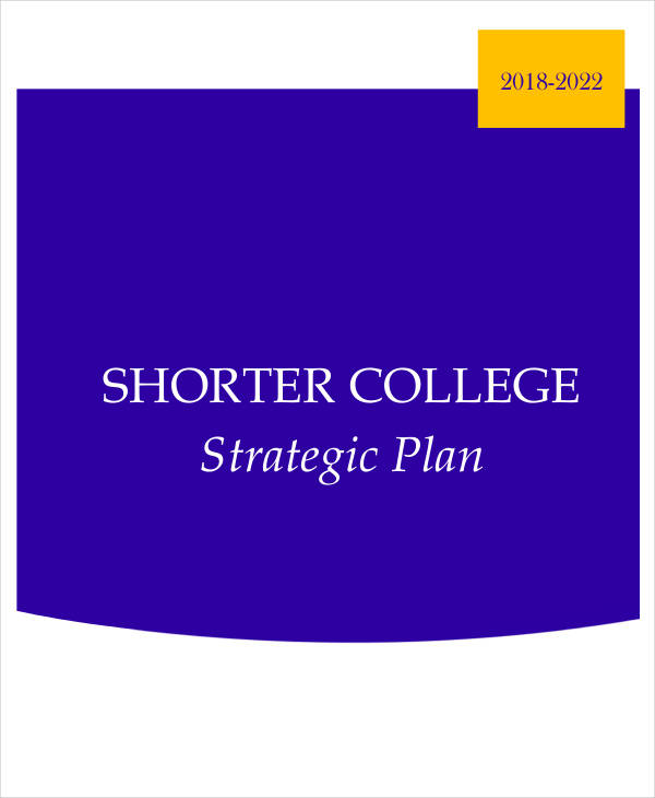 11 Five Year Strategic Plan Templates PDF