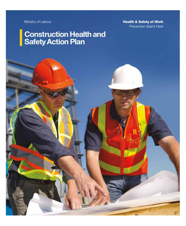 15 + Health and Safety Action Plan Templates - PDF, Google Docs, MS ...