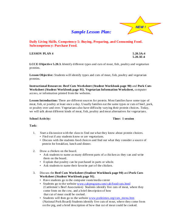 59+ Lesson Plan Templates - PDF, DOC, Excel