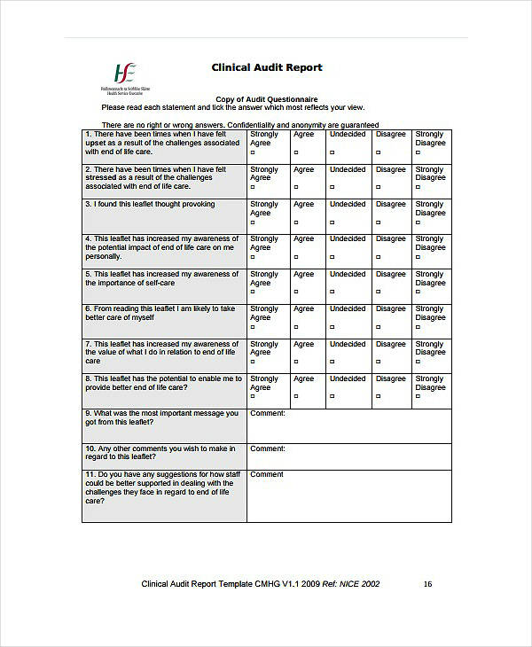 12+ Clinical Audit Report Templates - PDF, DOC