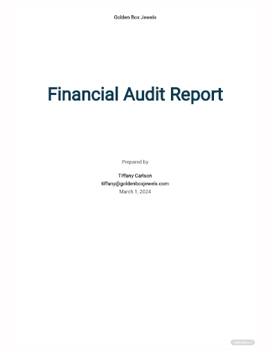 14+ Stock Audit Report Templates and Samples - PDF, Word