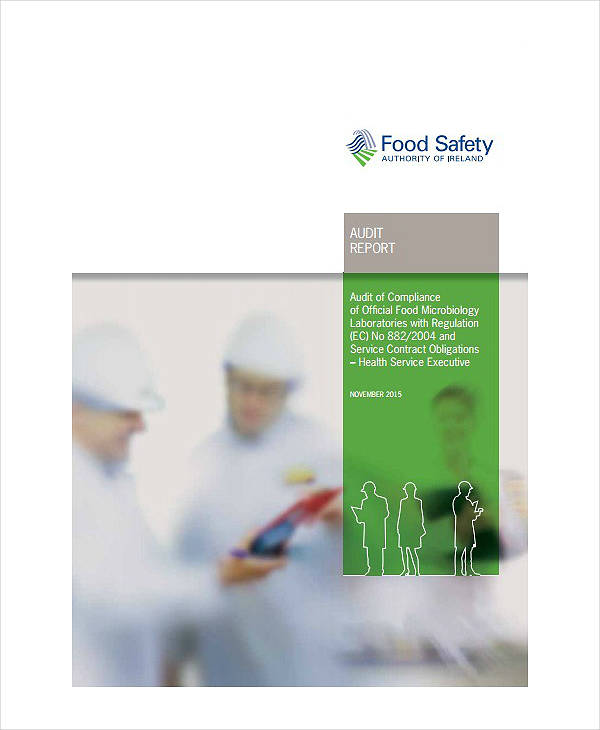 10+ Laboratory Audit Report Templates - PDF, DOC