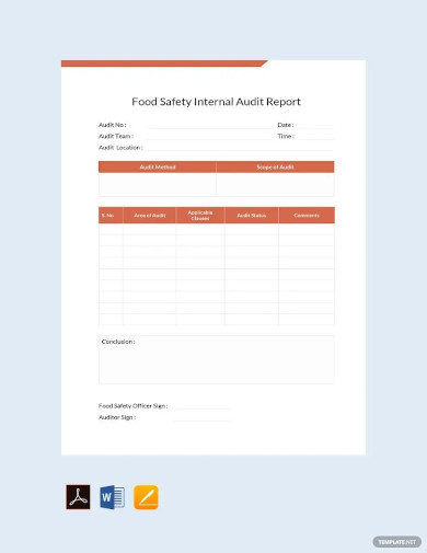 12+ Safety Audit Report Templates - PDF