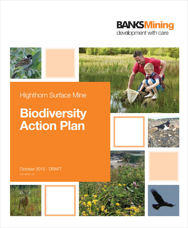 14+ Biodiversity Action Plan Templates - PDF, DOC