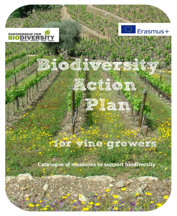 14+ Biodiversity Action Plan Templates - PDF, DOC