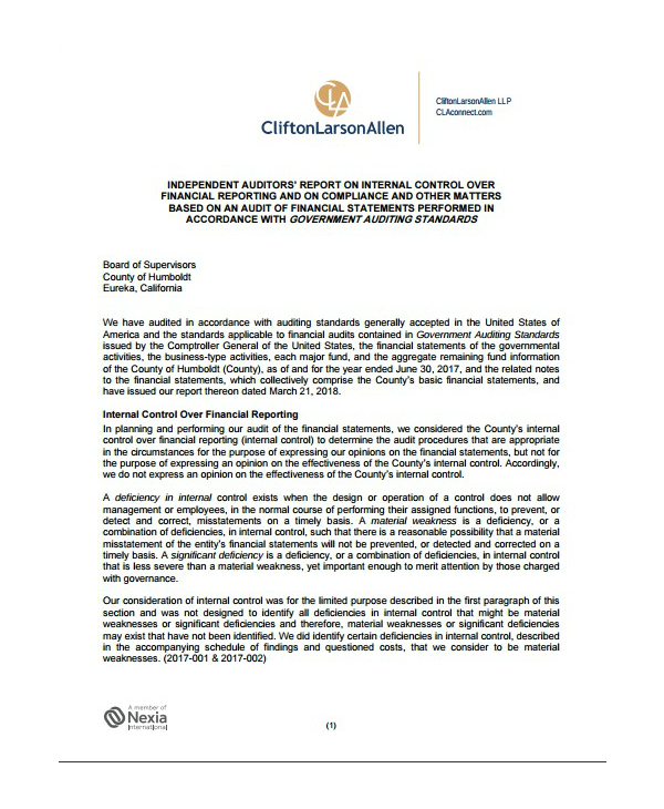 11+ Financial Audit Report Templates - PDF, DOC, PDF, Pages