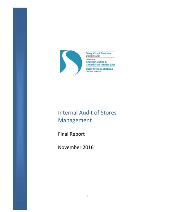 14+ Stock Audit Report Templates and Samples - PDF, Word