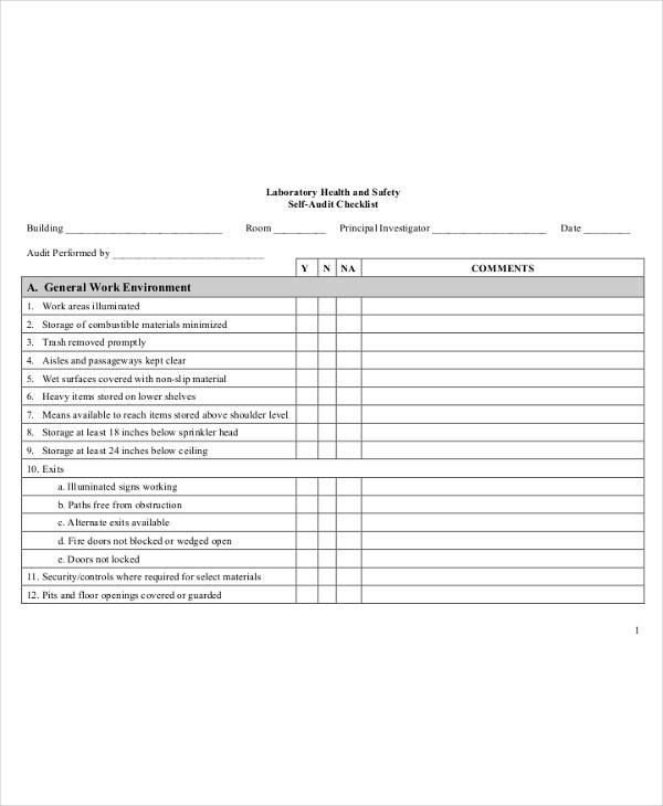 Template For Audit Report