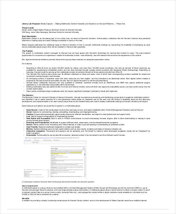 8+ Multimedia Project Proposal Templates - PDF, DOC