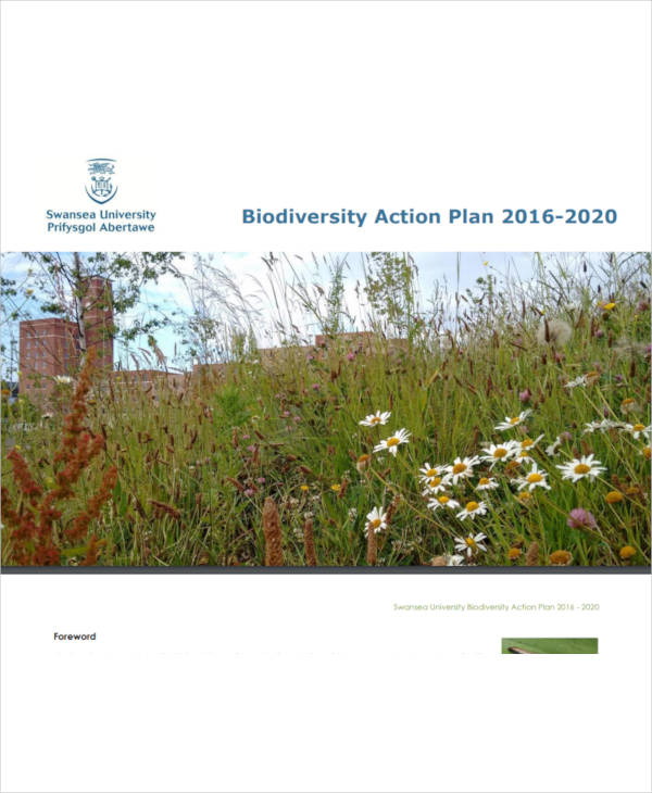 14+ Biodiversity Action Plan Templates - PDF, DOC