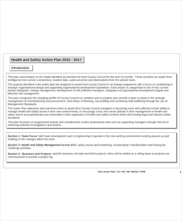 15 Health And Safety Action Plan Templates PDF Google Docs MS 