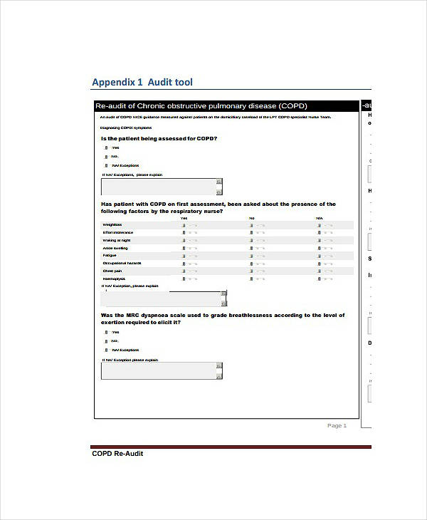 12 Clinical Audit Report Templates PDF DOC 12 Clinical Audit Report Templates PDF DOC
