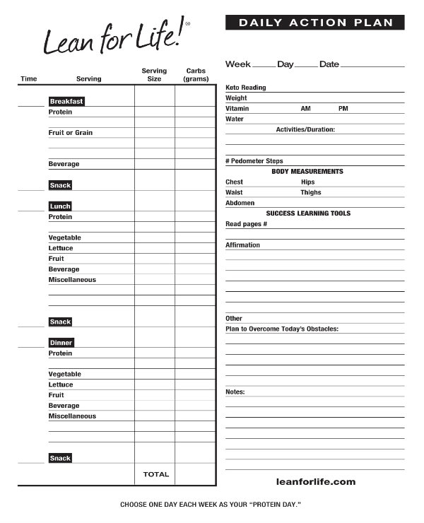 11+ Daily Action Plan Templates - PDF