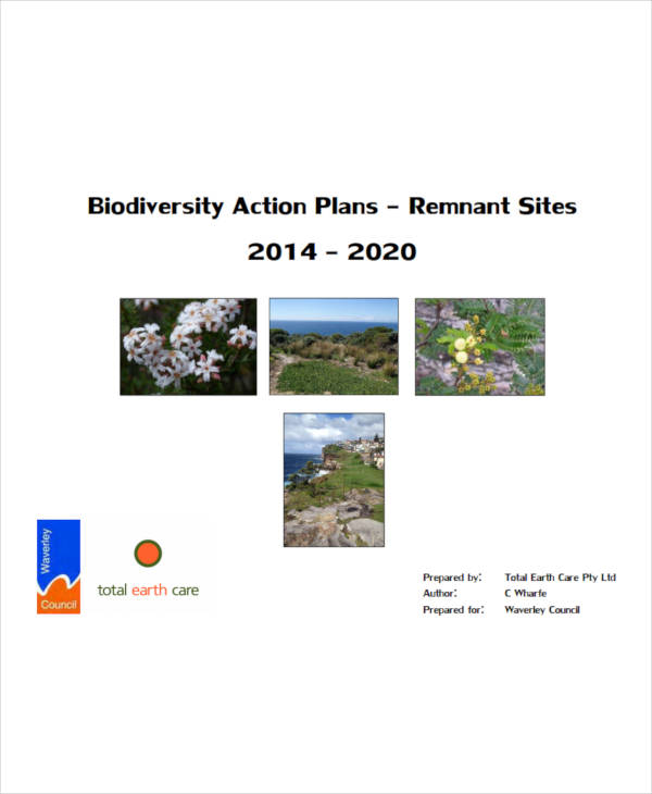 14+ Biodiversity Action Plan Templates - PDF, DOC