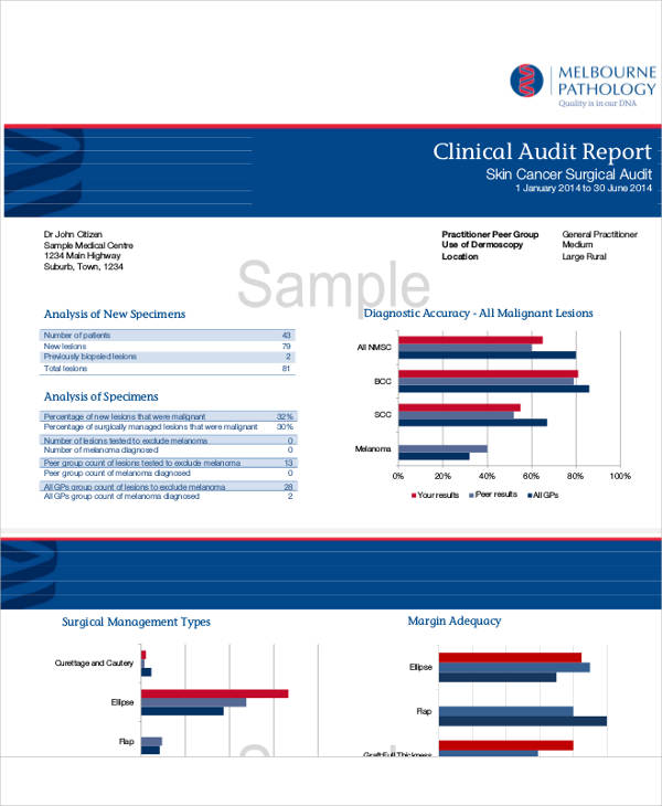12+ Clinical Audit Report Templates - PDF, DOC