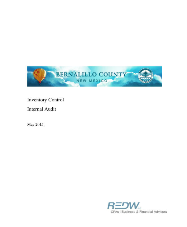 14+ Stock Audit Report Templates and Samples - PDF, Word