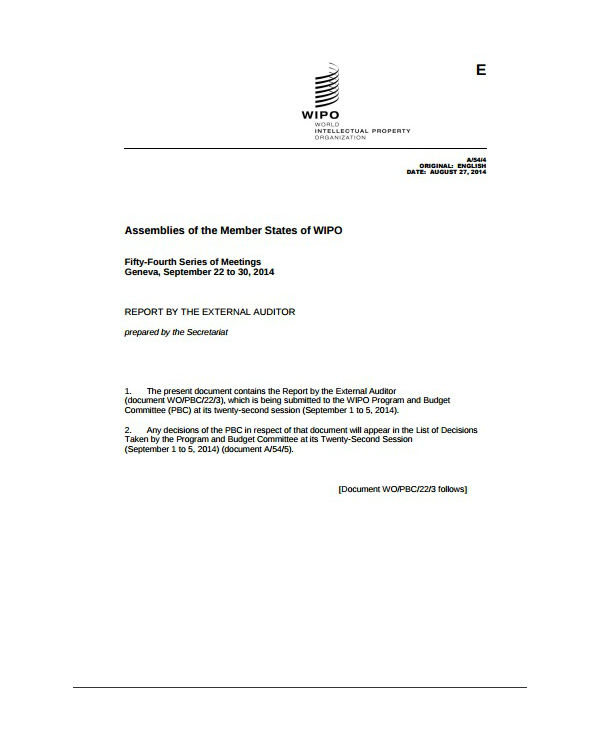 6+ External Audit Report Templates - PDF, DOC