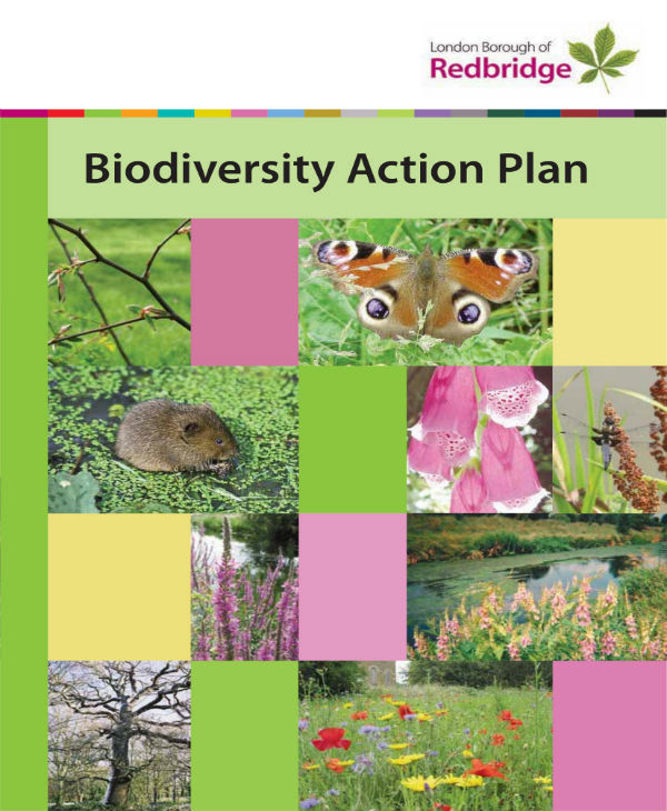 14+ Biodiversity Action Plan Templates - PDF, DOC