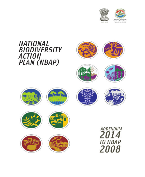 14+ Biodiversity Action Plan Templates - PDF, DOC