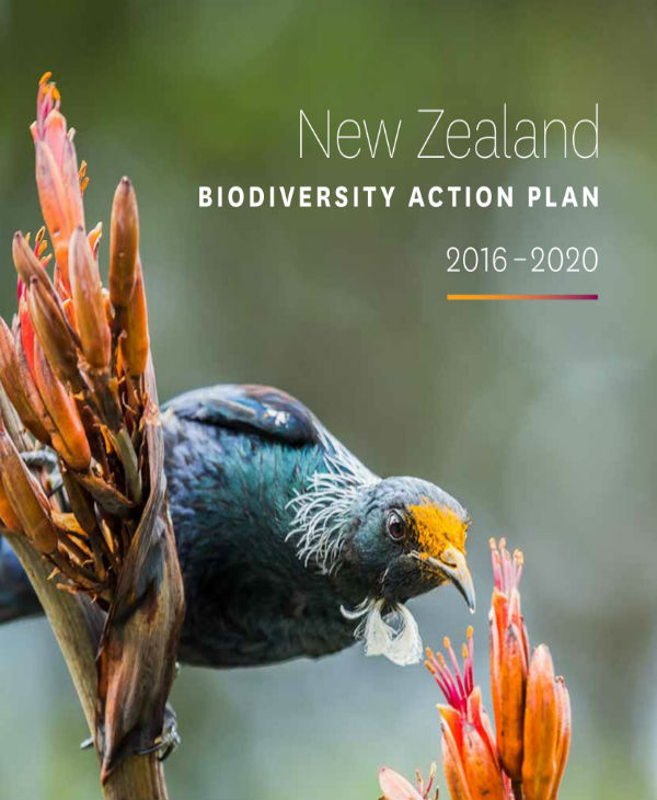 14+ Biodiversity Action Plan Templates - PDF, DOC