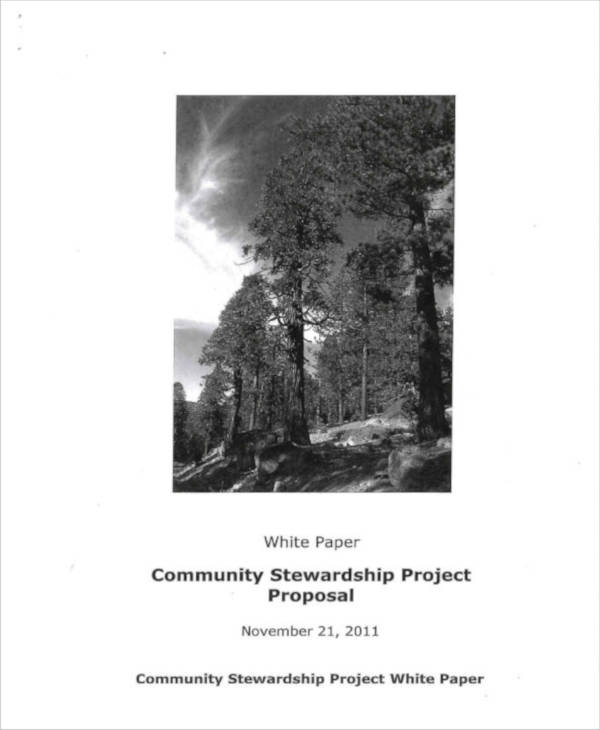 18+ Community Project Proposal Templates, PDF, Word